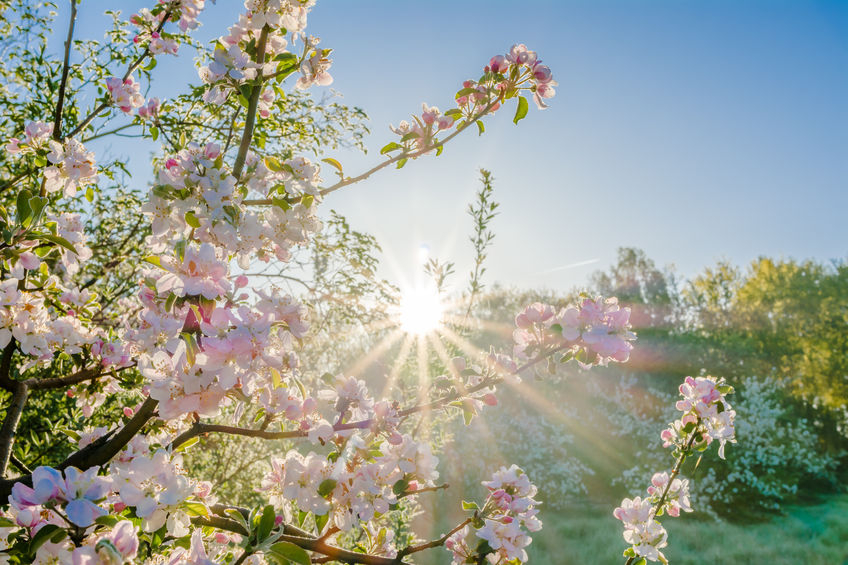 Helgdagar Polen 2025